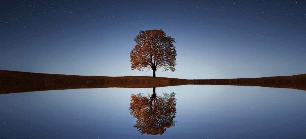 [C#][LeetCode][Easy] 389. Find the Difference – 從入門到放棄